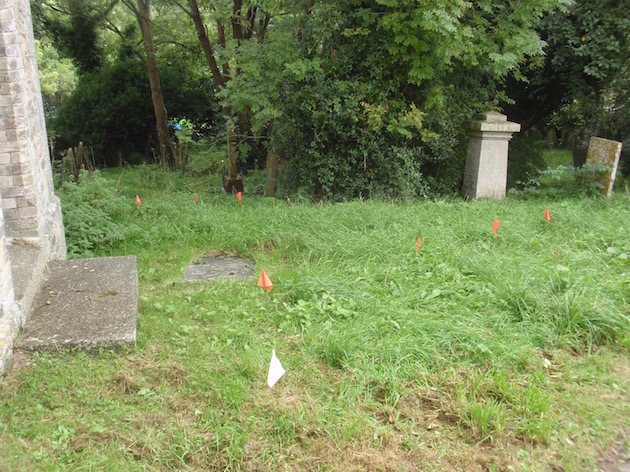 The Search for Tywardreath Priory (2) | Nigel Twinn dowser and author